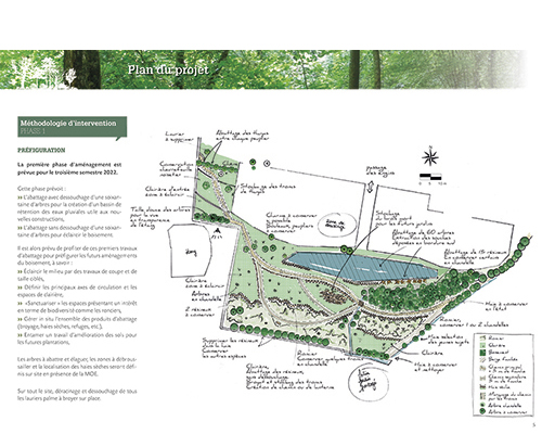 Projets collectifs - Paysages et compagnie