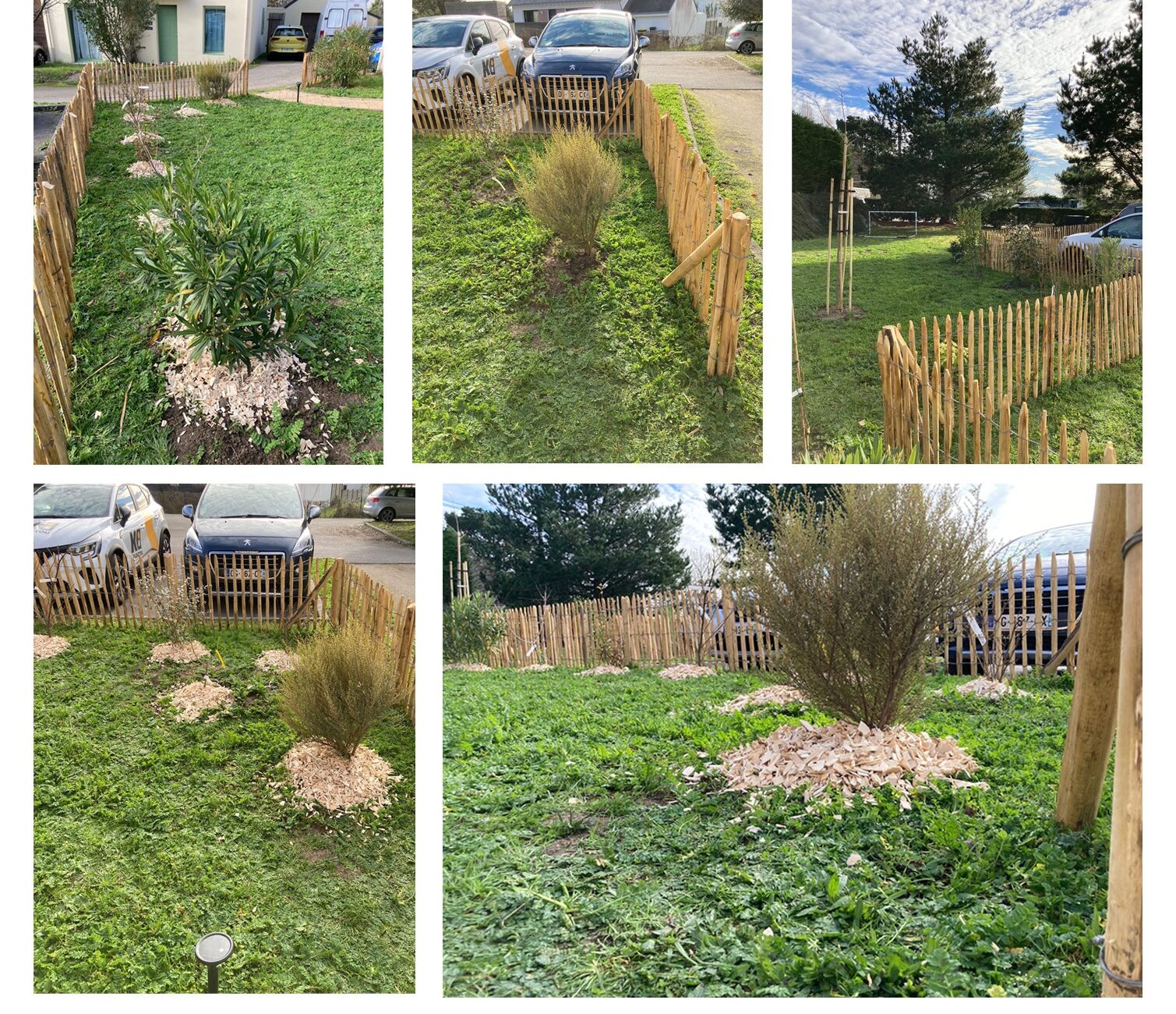 Haie mixte et ganivelles - Paysages et compagnie